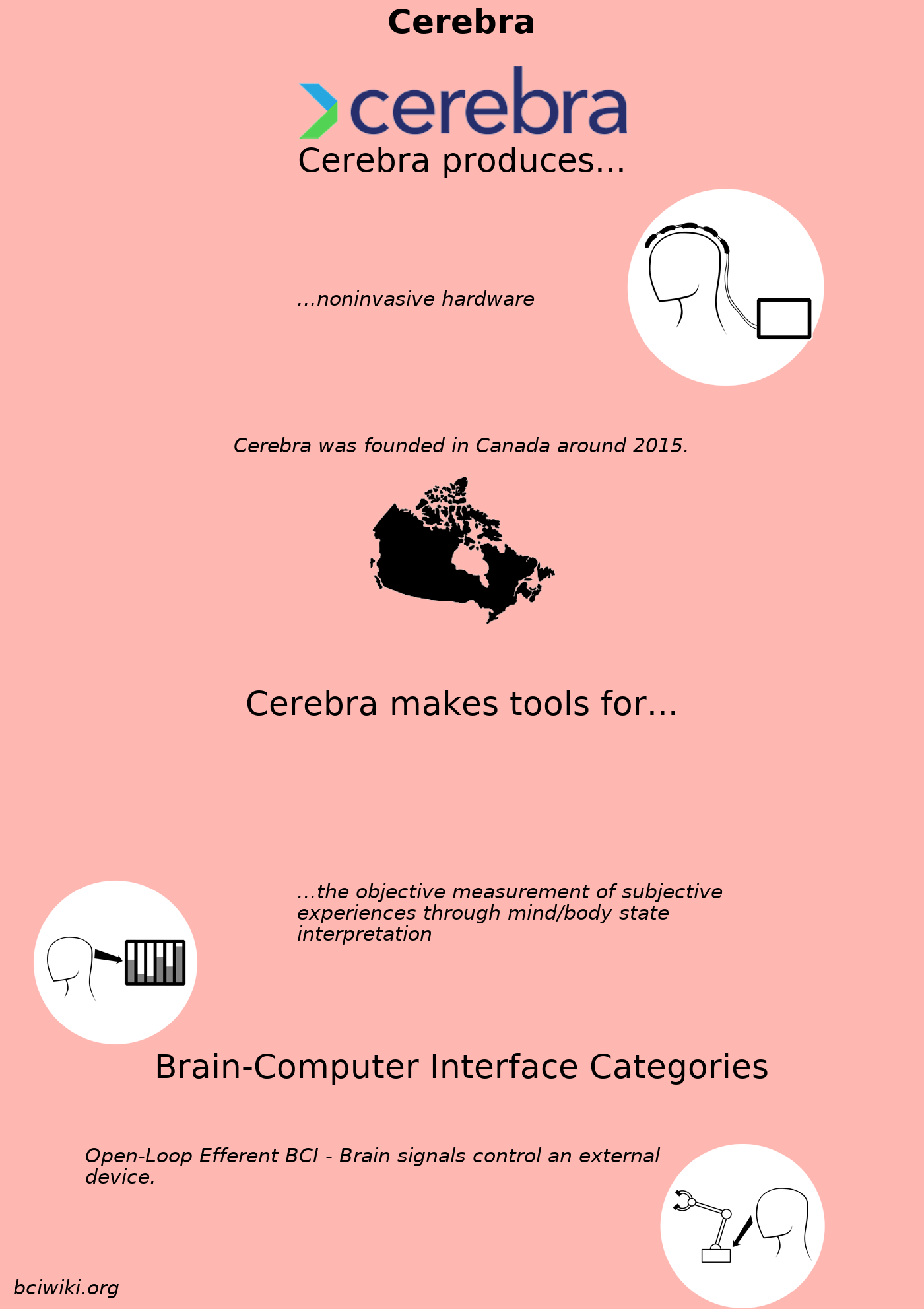 File:Cerebra.png - Brain Computer Interface Wiki